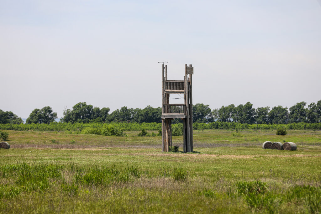 Homepage - Cedar Gate